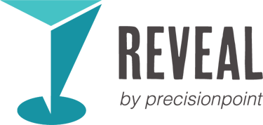 PrecisionPoint Reveal Data Connector | Extract Your Data with Our SaaS ...